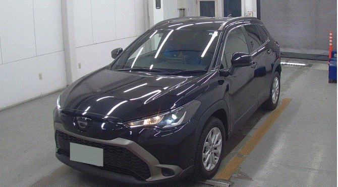 Listings – Carvision